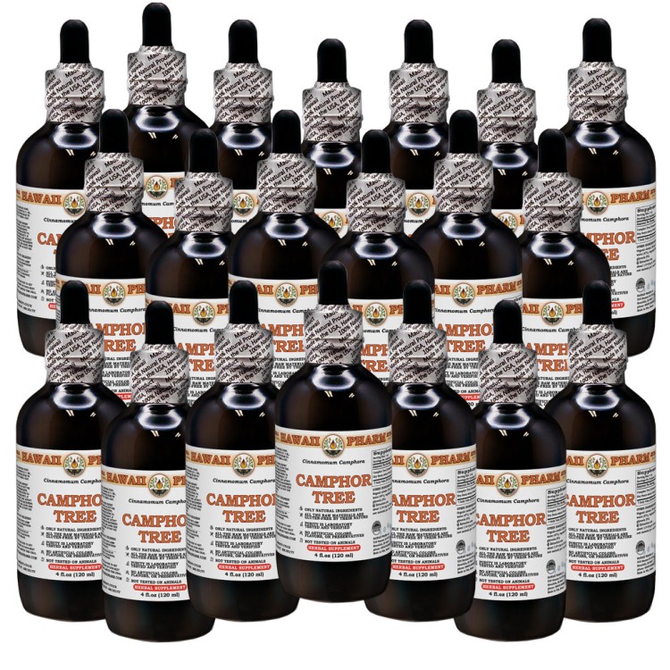 Camphor Tree, Zhang Nao (Cinnamomum Camphora) Tincture, Dried Resin ...