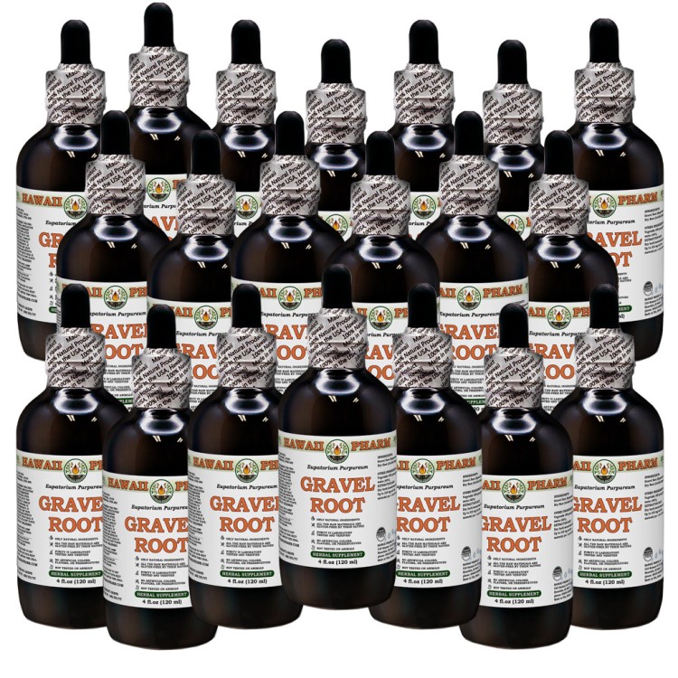 Gravel Root Alcohol-FREE Liquid Extract, Gravel Root (Eupatorium ...