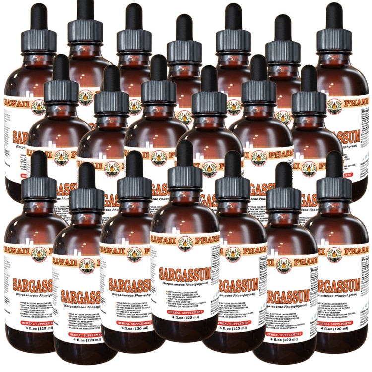 Sargassum Seaweed (Sargassaceae Phaeophyceae) Tincture, Dried Algae ...