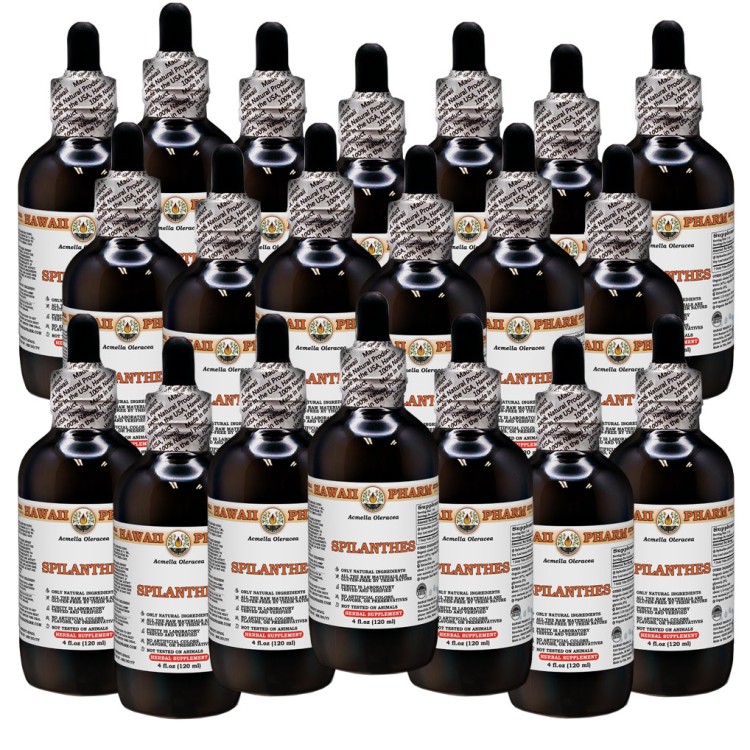 Spilanthes Liquid Extract, Organic Spilanthes (Acmella Oleracea) Dried ...