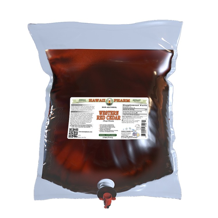 Western Red Cedar (Thuja Plicata) Tincture, Wildcrafted Dried Leaf ...