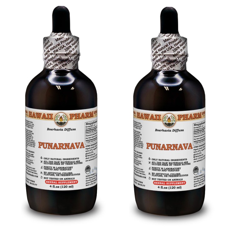Punarnava, Red Spiderling (Boerhavia Diffusa) Tincture, Dried Root ...