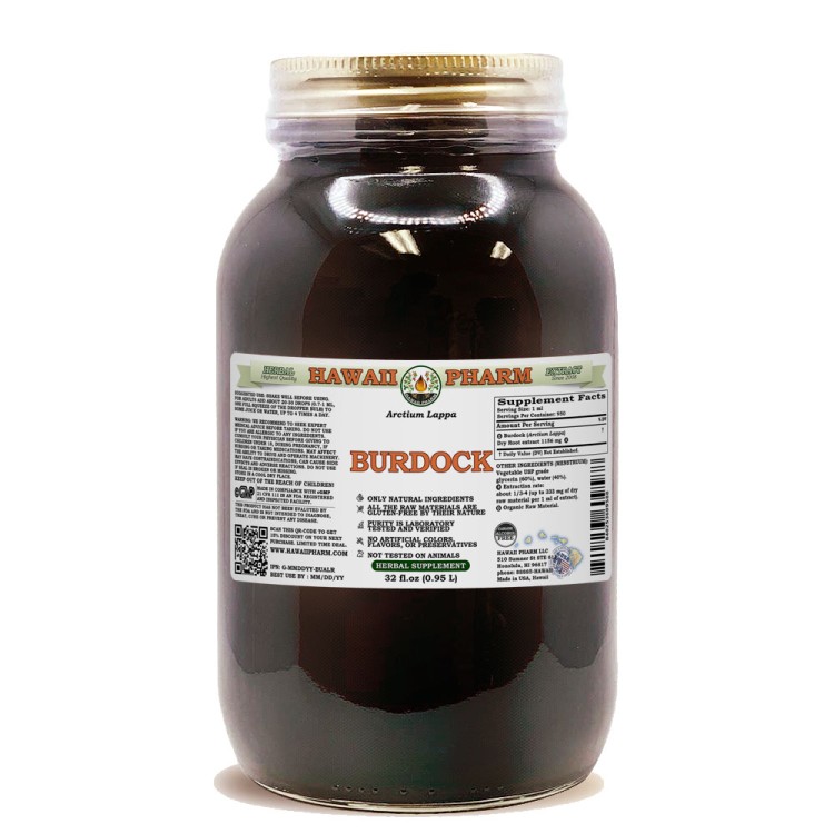 Burdock Alcohol-FREE Liquid Extract, Organic Burdock (Arctium Lappa ...