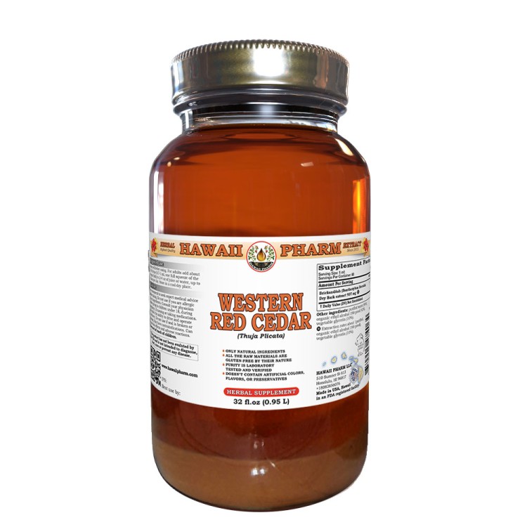 Western Red Cedar (Thuja Plicata) Tincture, Wildcrafted Dried Leaf ...