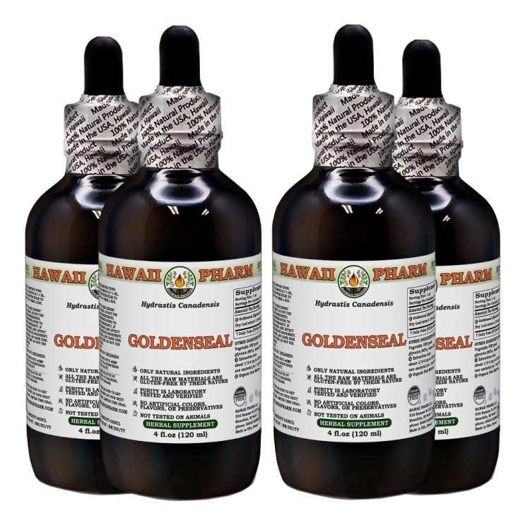 Goldenseal Alcohol-FREE Liquid Extract, Organic Goldenseal (Hydrastis ...